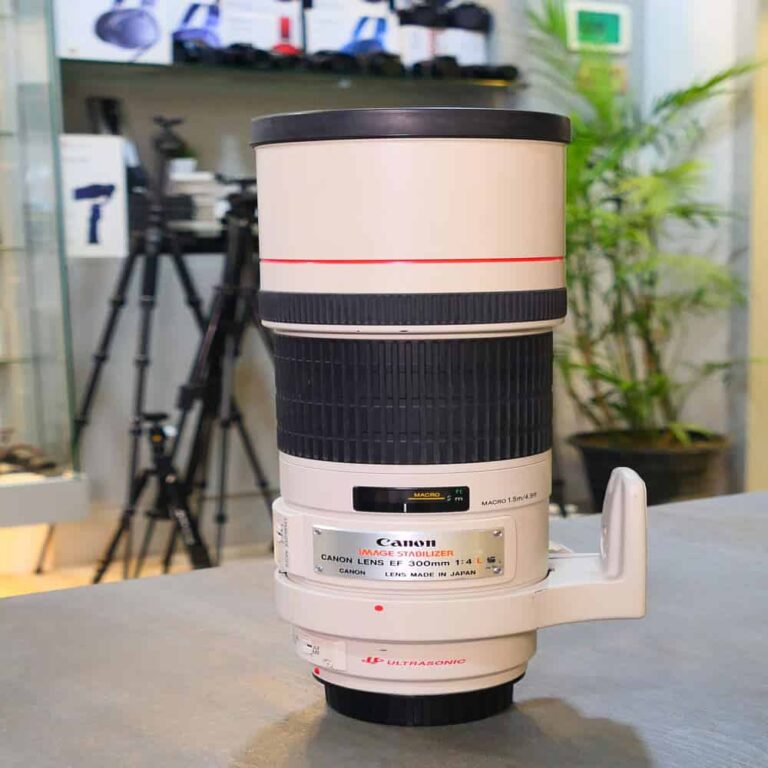 Canon EF 300mm f/4L IS USM Lens - BilluPhotos